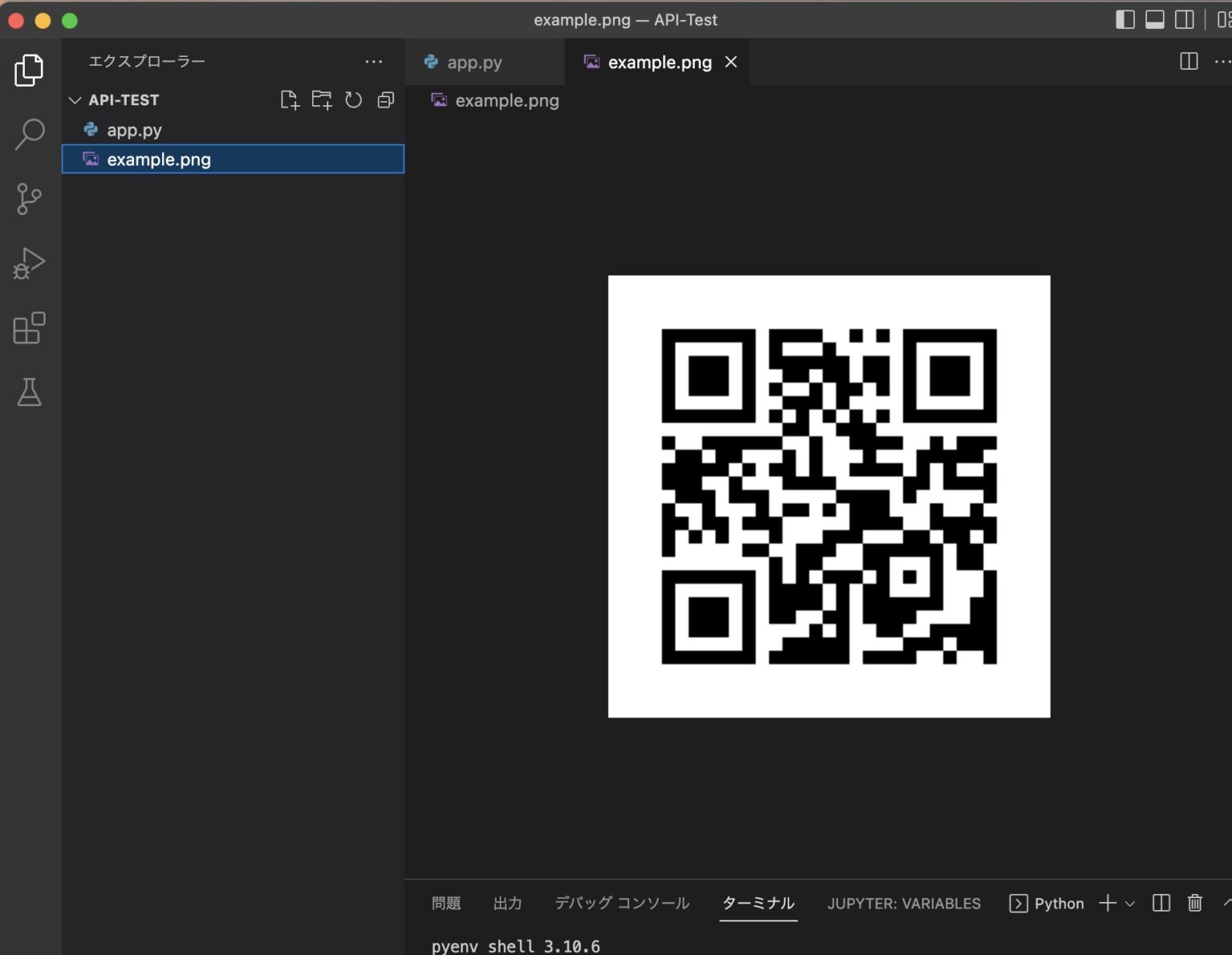 Python-QR-code-gen | wild tech